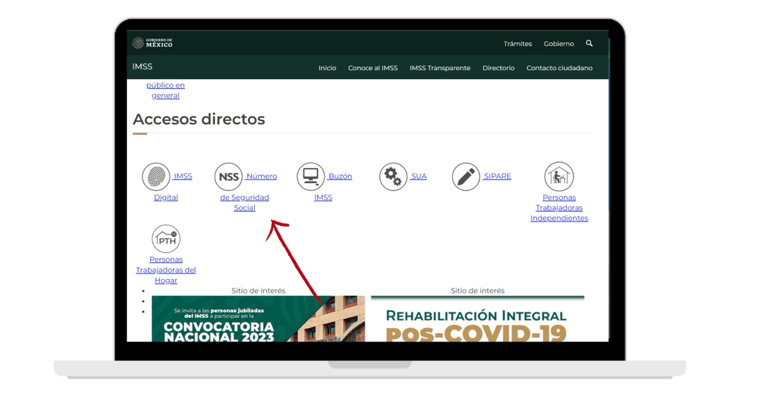 ¿Cómo saber mi Número de Seguro Social (NSS)? TODAS las formas