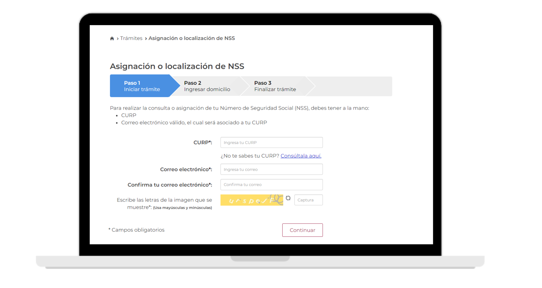 ¿Cómo saber mi Número de Seguro Social (NSS)? TODAS las formas