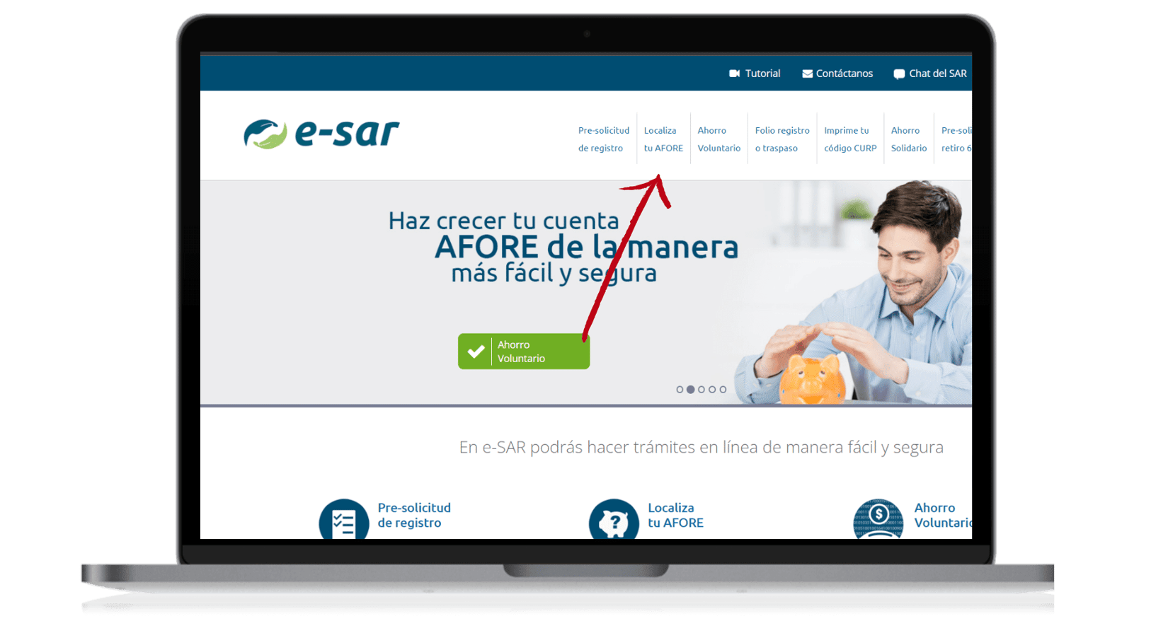 Cómo localizar tu Afore con CURP paso a paso