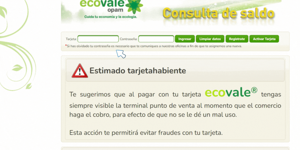Ecovale Despensas ¿Cómo consultar saldo por celular y en línea?